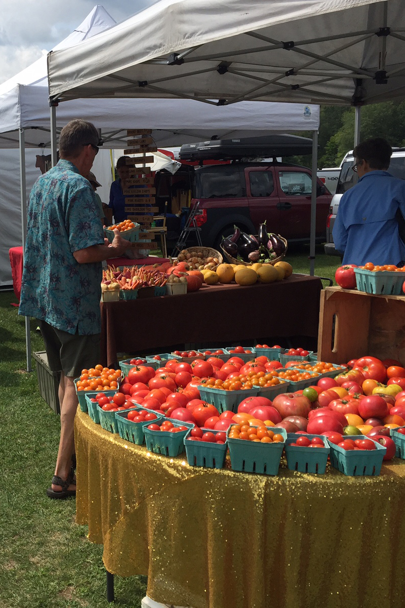 Gallery – Town of Jay, New York
